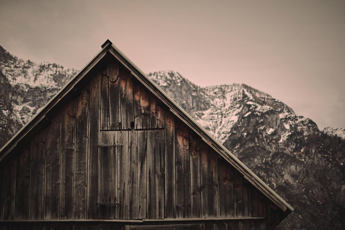 We are Like Wolves – Renée Dutcher-Pryer